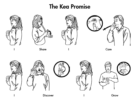 Kea – Scouts Aotearoa