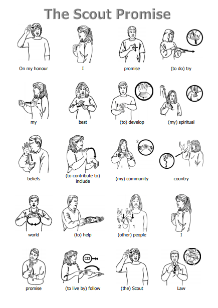 Scouts – Scouts Aotearoa