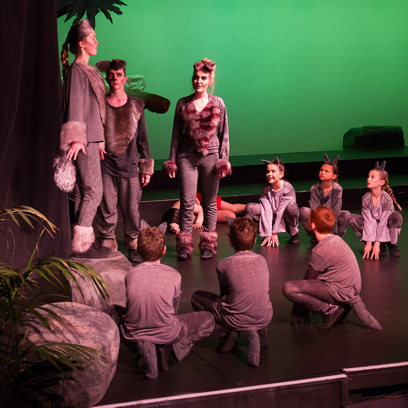 Gang Show – Scouts Aotearoa