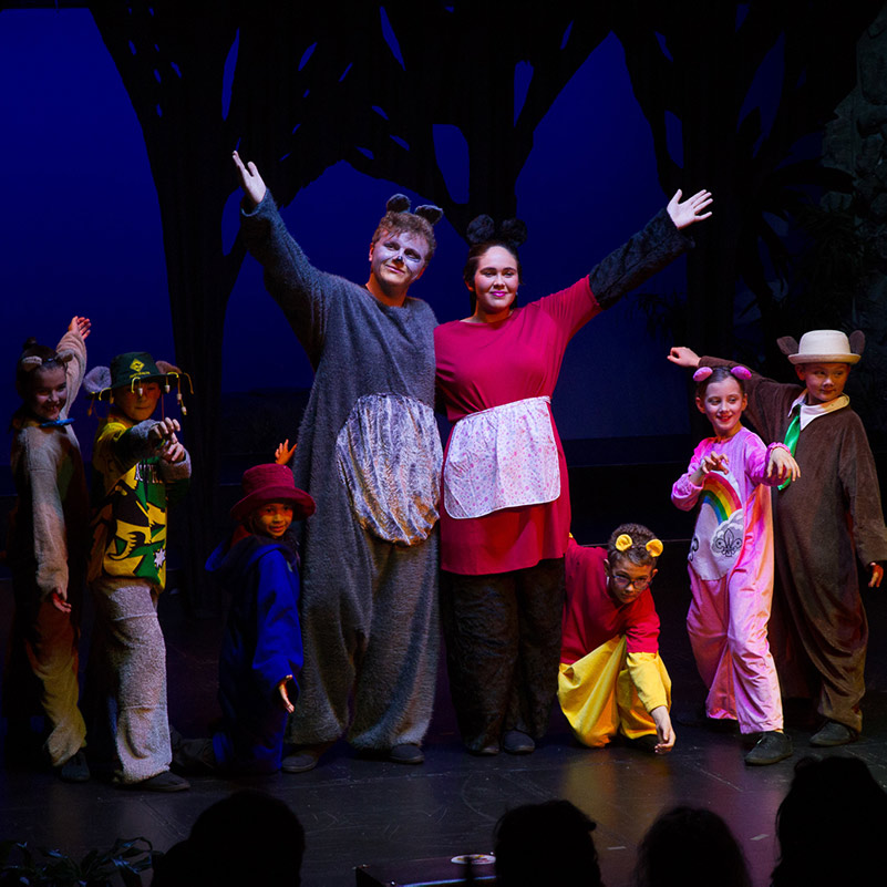 Gang Show – Scouts Aotearoa