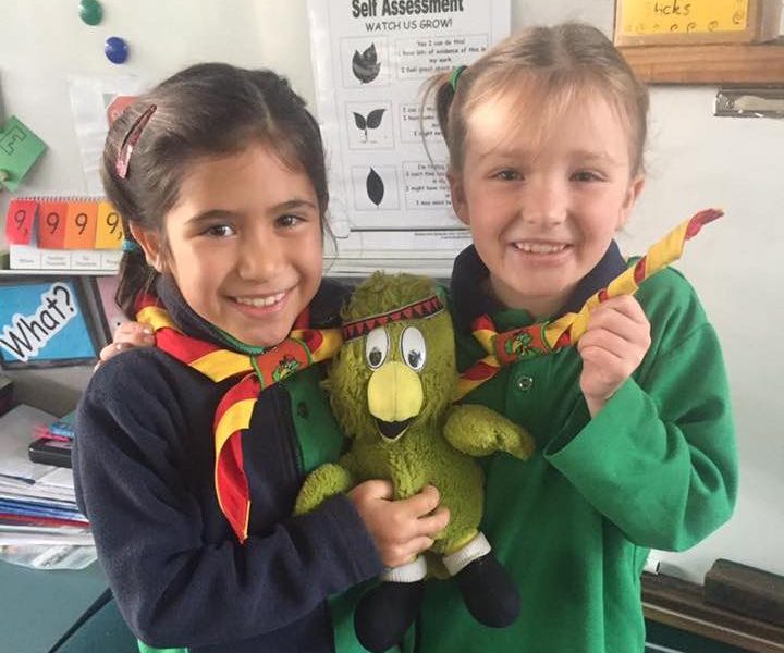 Kea – Scouts Aotearoa