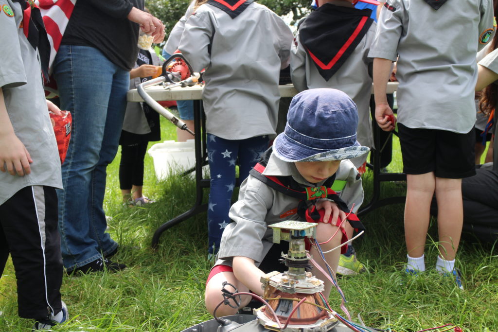 Kea – Scouts Aotearoa